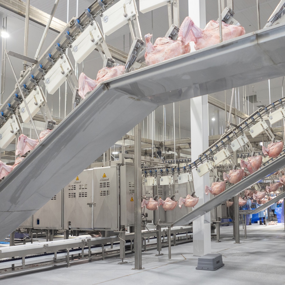 Turkey processor Prestage Farms shaped the building around the process ...