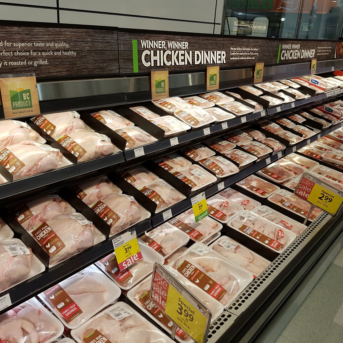 A positive outlook for poultry | Marel