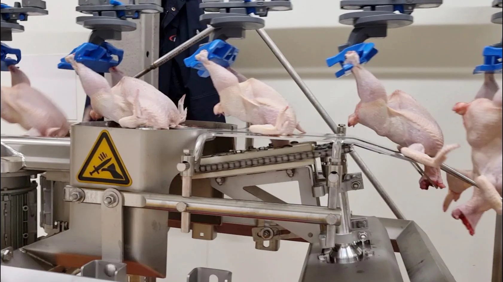 Neck Cutter HY | Marel