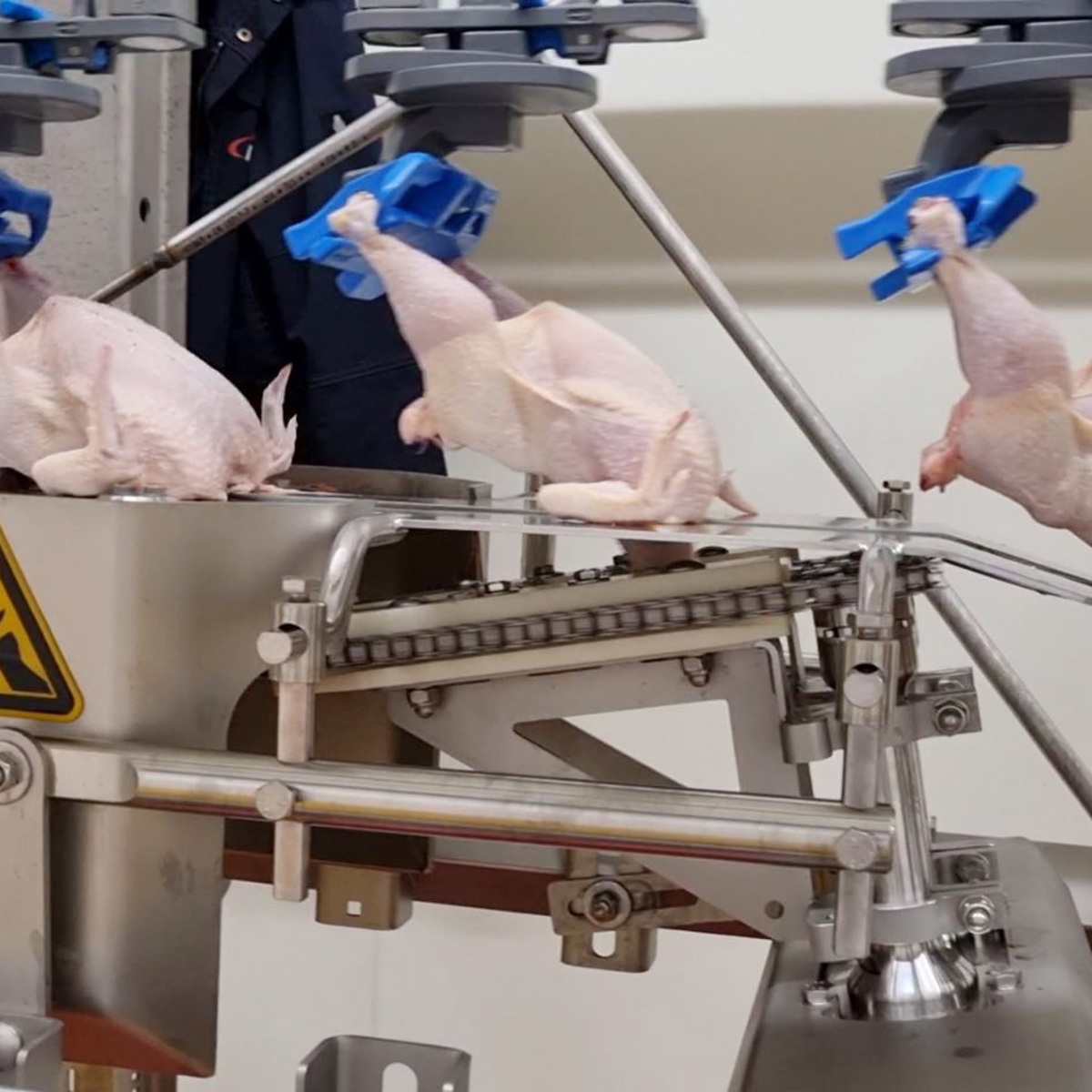 Neck Cutter HY | Marel