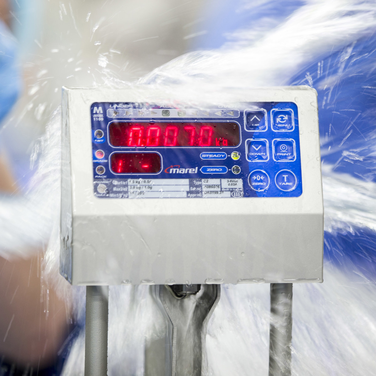 Seafood weighing equipment | Marel