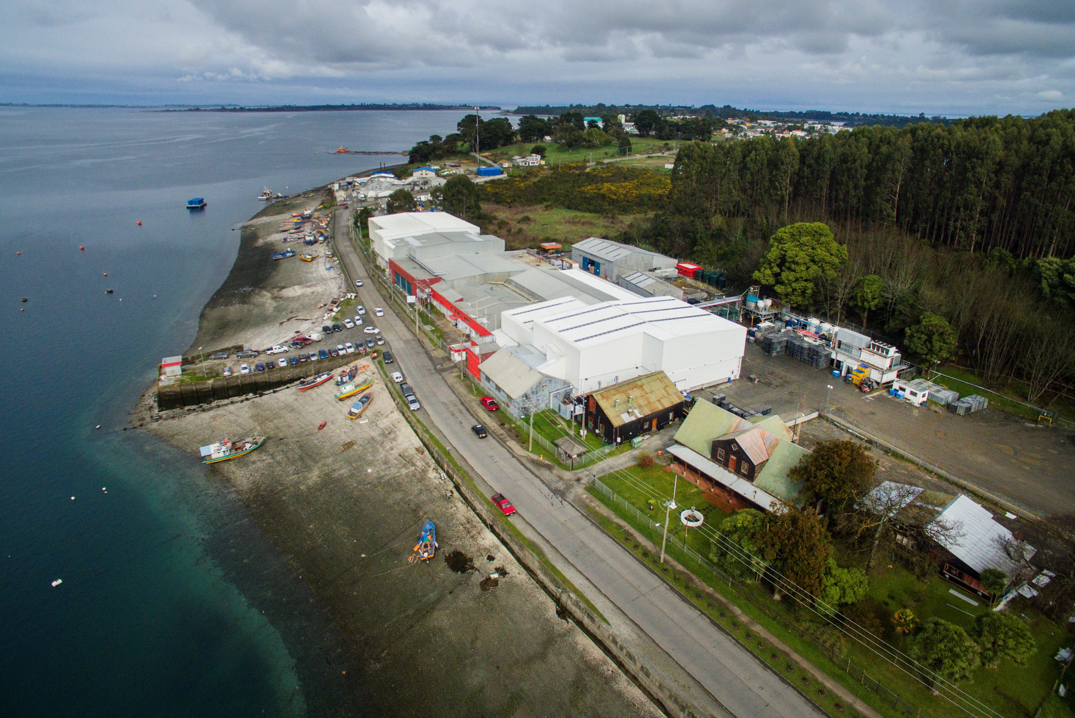 Innova is part of the DNA at Australis Seafoods | Marel