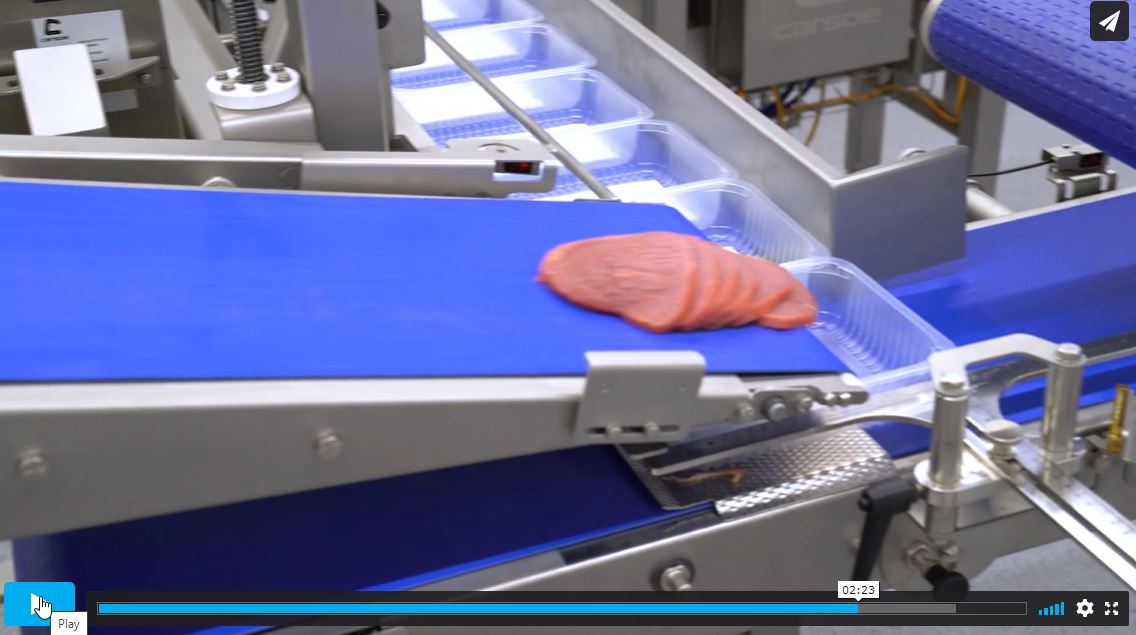 V-Cut 240 volumetric portion cutter | Marel