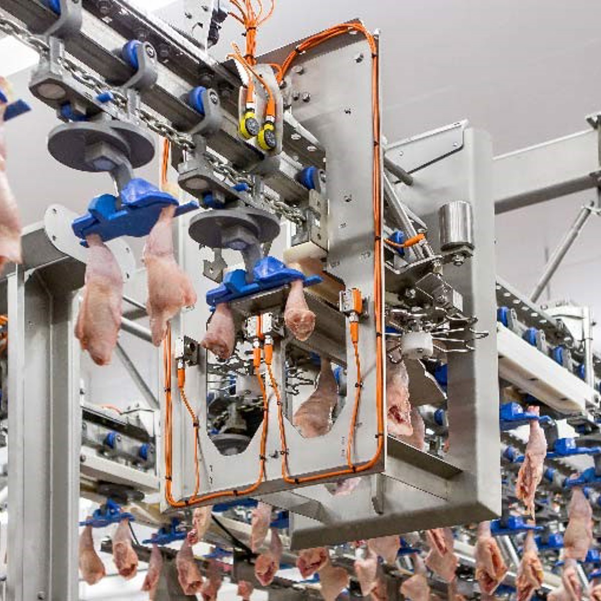 Fixed-weight overhead leg batching | Marel