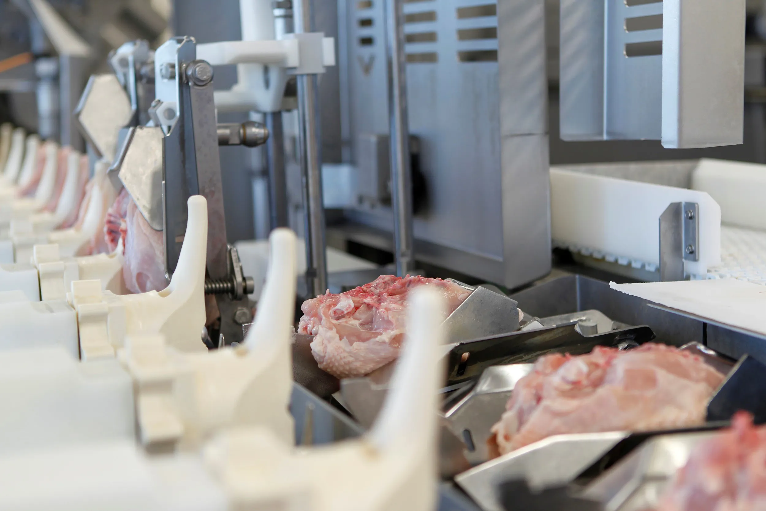 AMF-i 家禽胸盖剔骨系统 | Marel