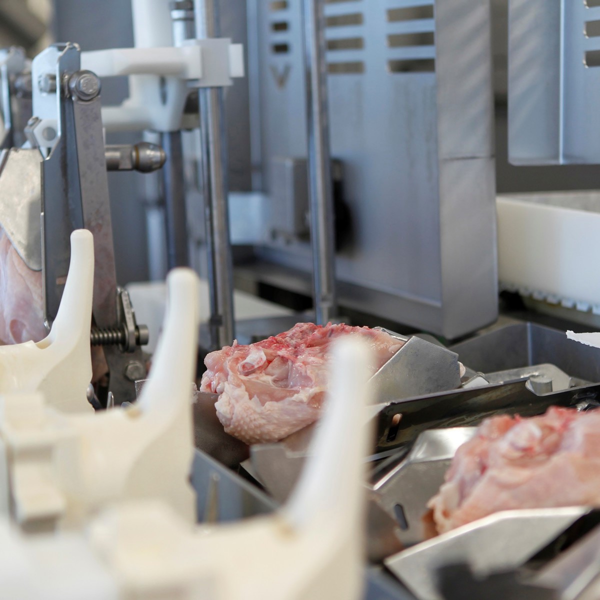 AMF-i poultry breast cap filleting system | Marel