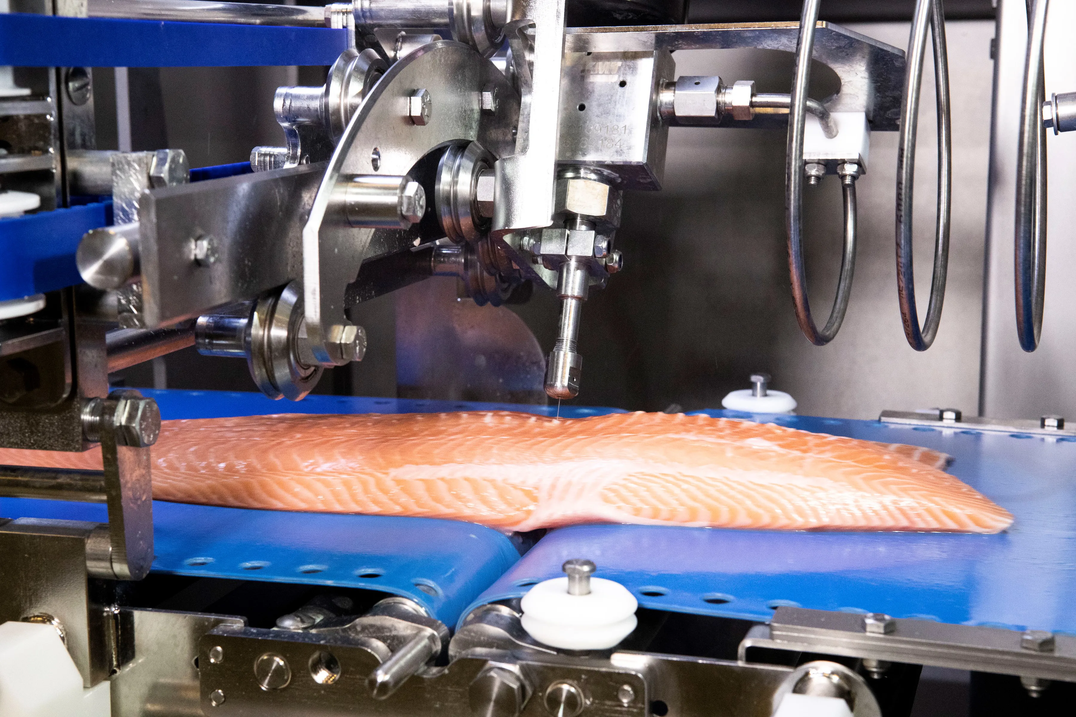 FleXicut Salmon | Marel