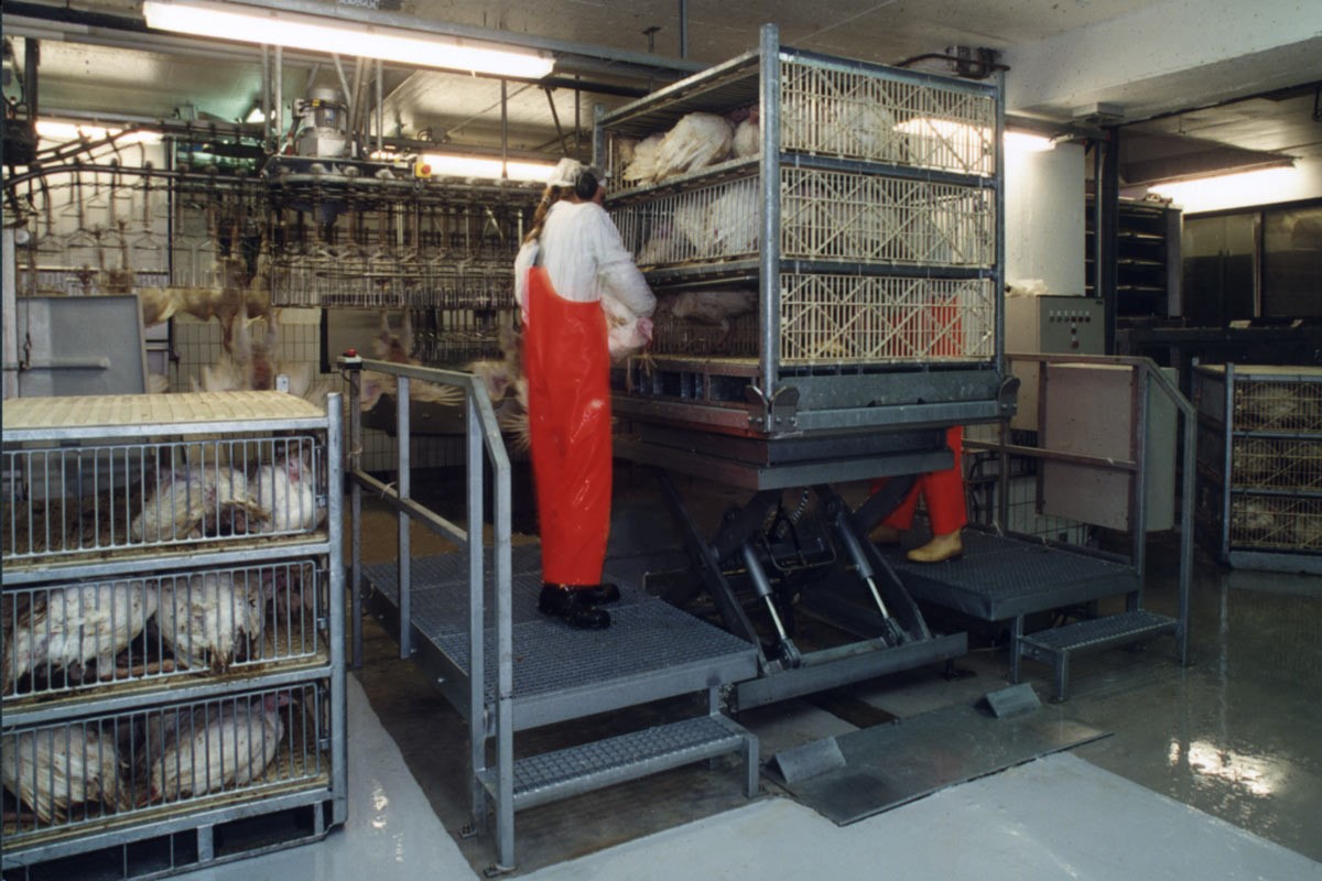 Supply system up to 500tph | Marel