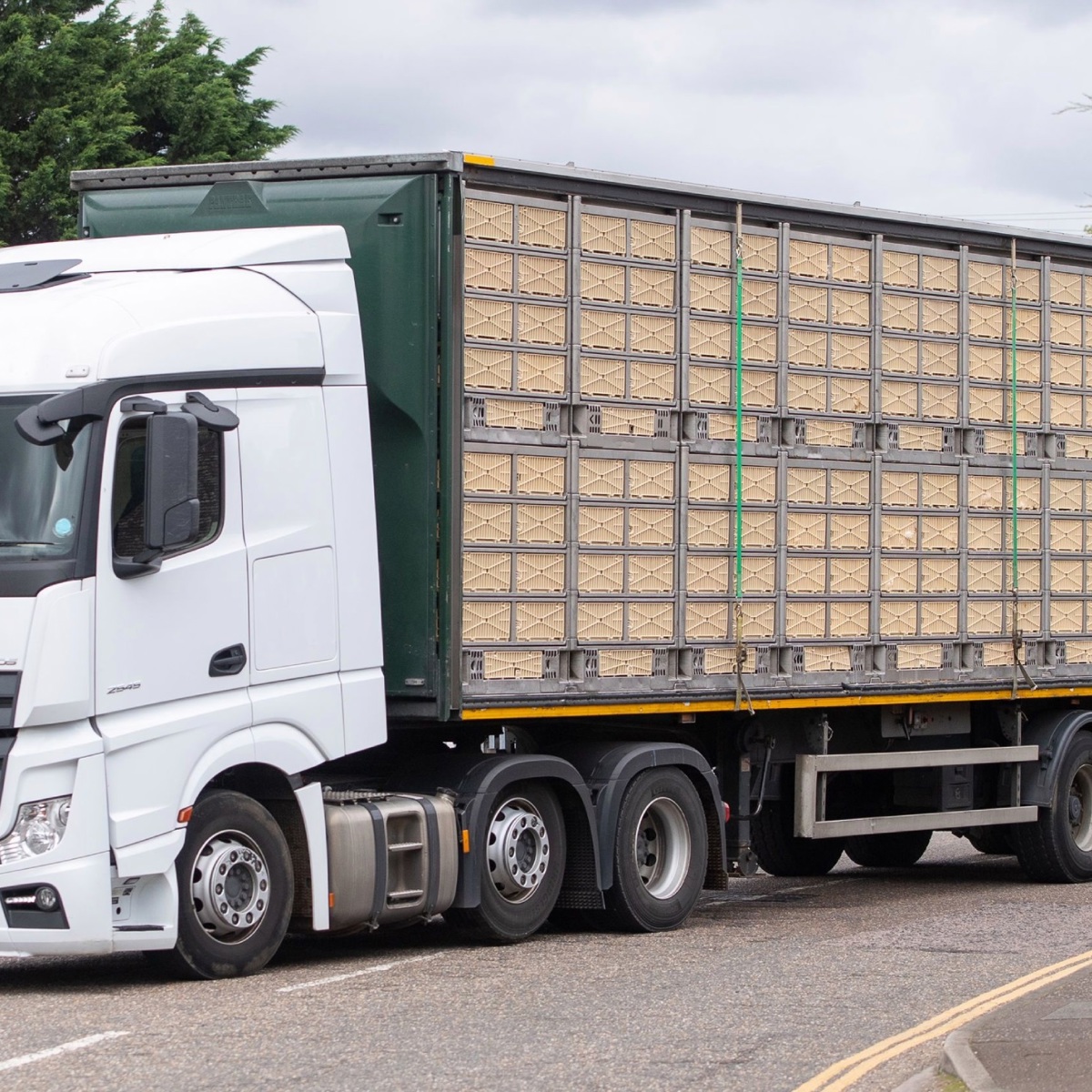 Good poultry processing starts with perfect logistics from shed to shackle | Marel