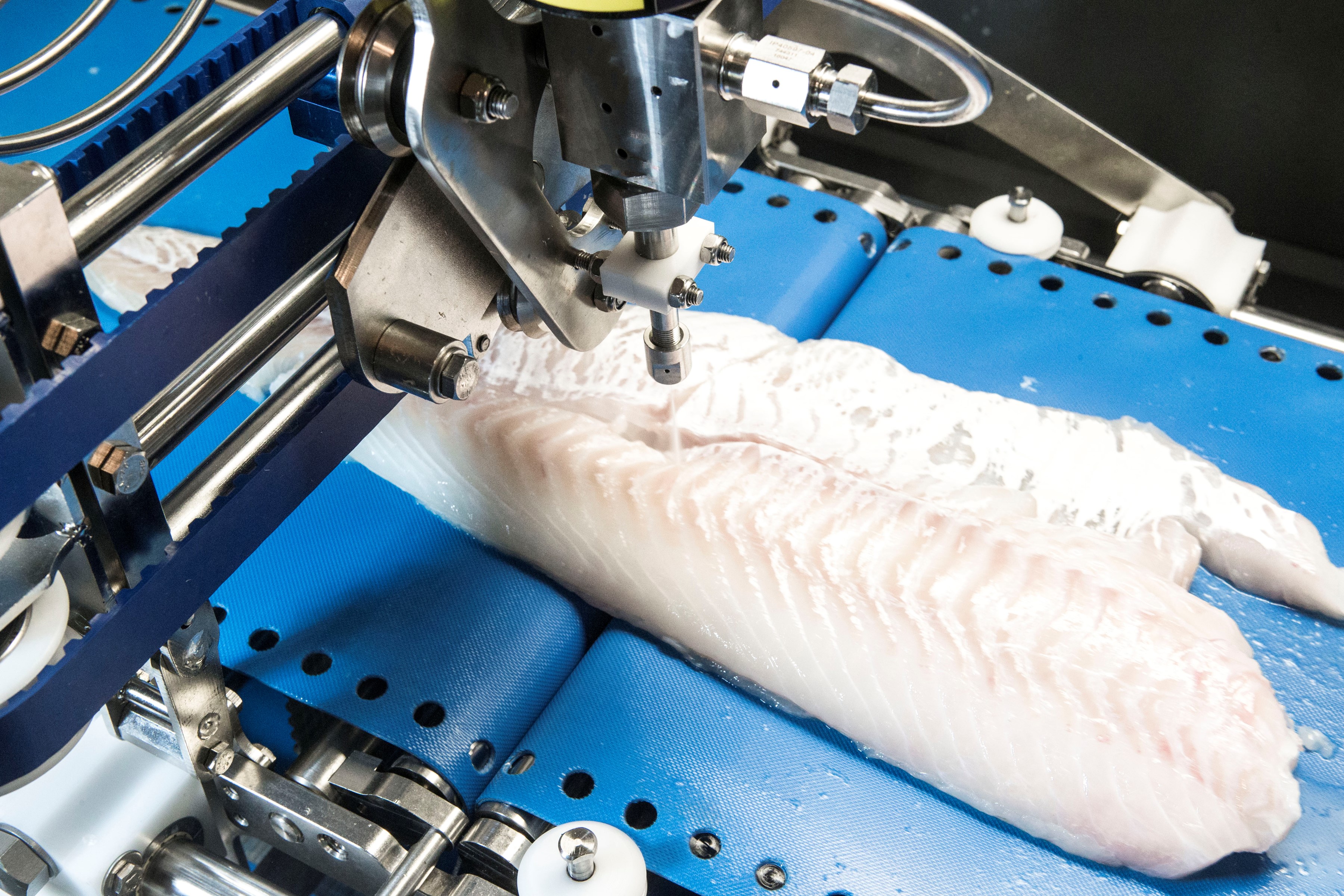 Pinboning solutions for the fish processing industry | Marel