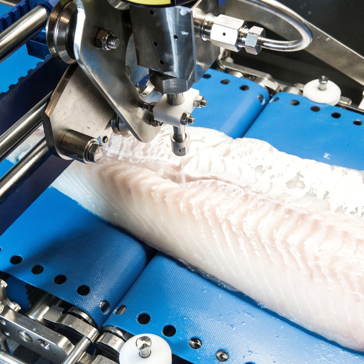 Pinboning solutions for the fish processing industry | Marel