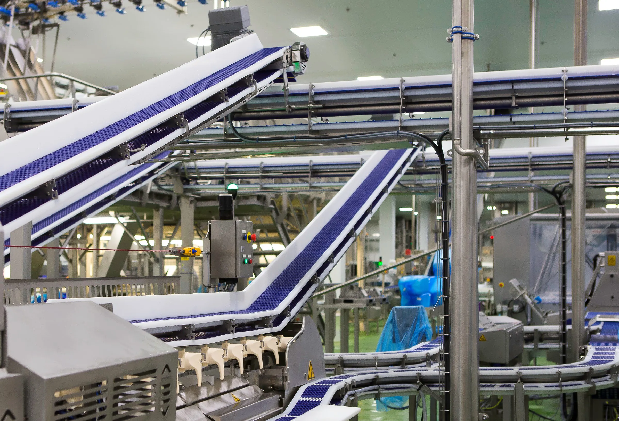 SystemFlex Conveyor System | Marel