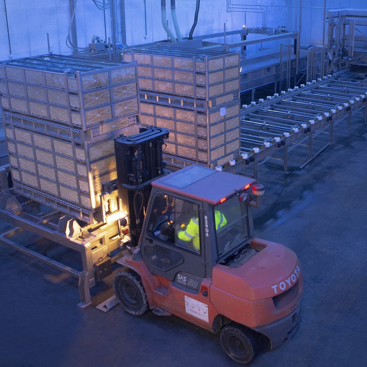 Plukon benefits from ATLAS | Marel