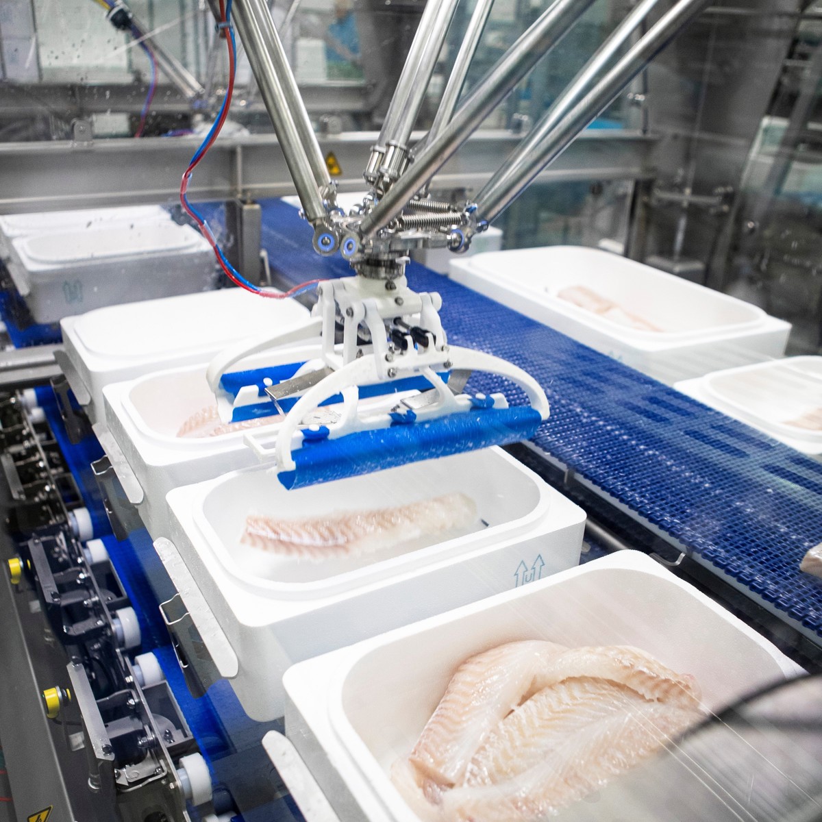 机械手抓取配重机 Box | Marel