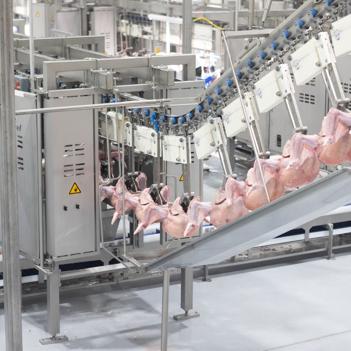 Prestage Farms builds a reference turkey plant | Marel