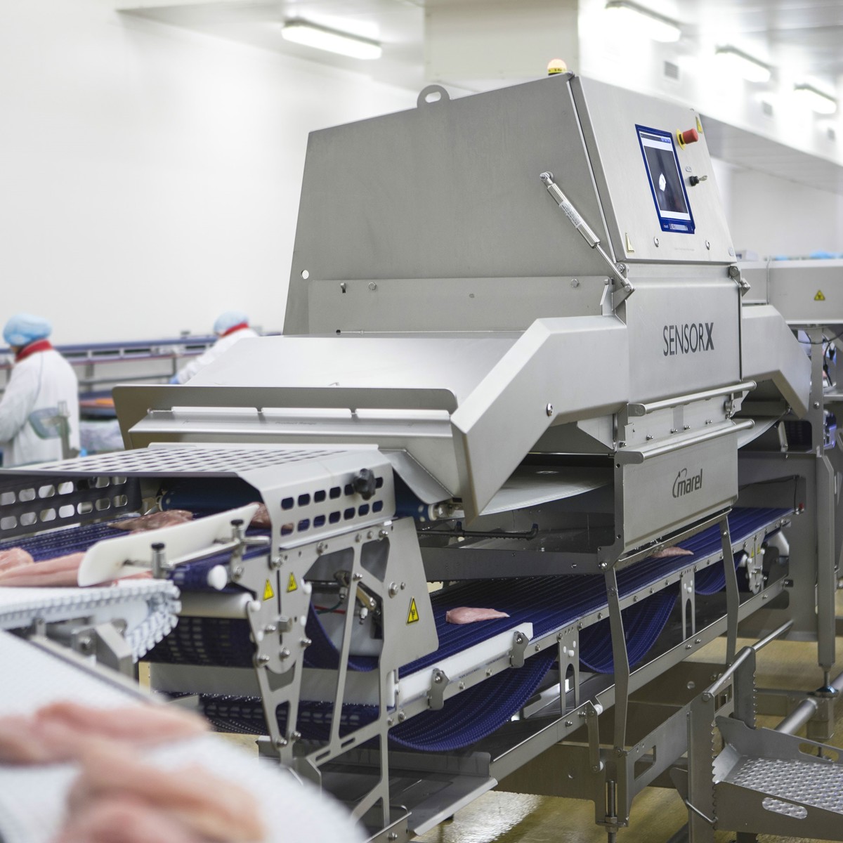 Bone fragments in poultry fillets | Marel