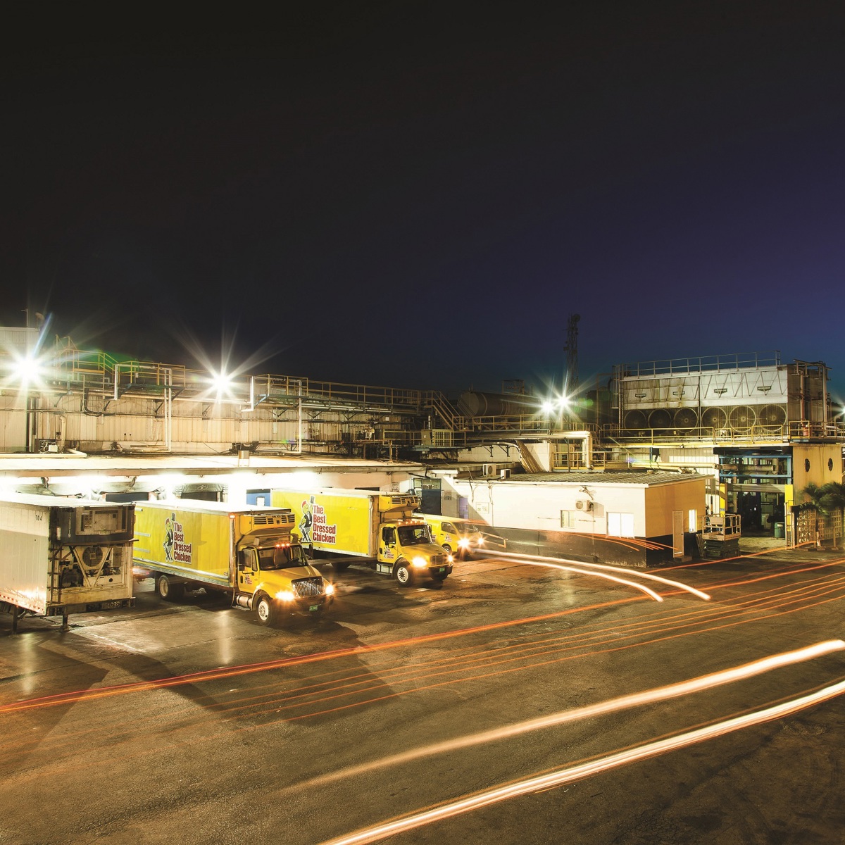 Jamaica captivated by The Best Dressed Chicken | Marel