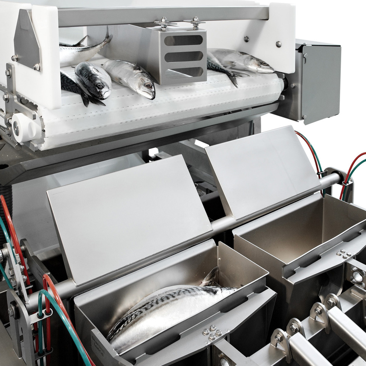 Weighing, grading and batching of seafood | Marel