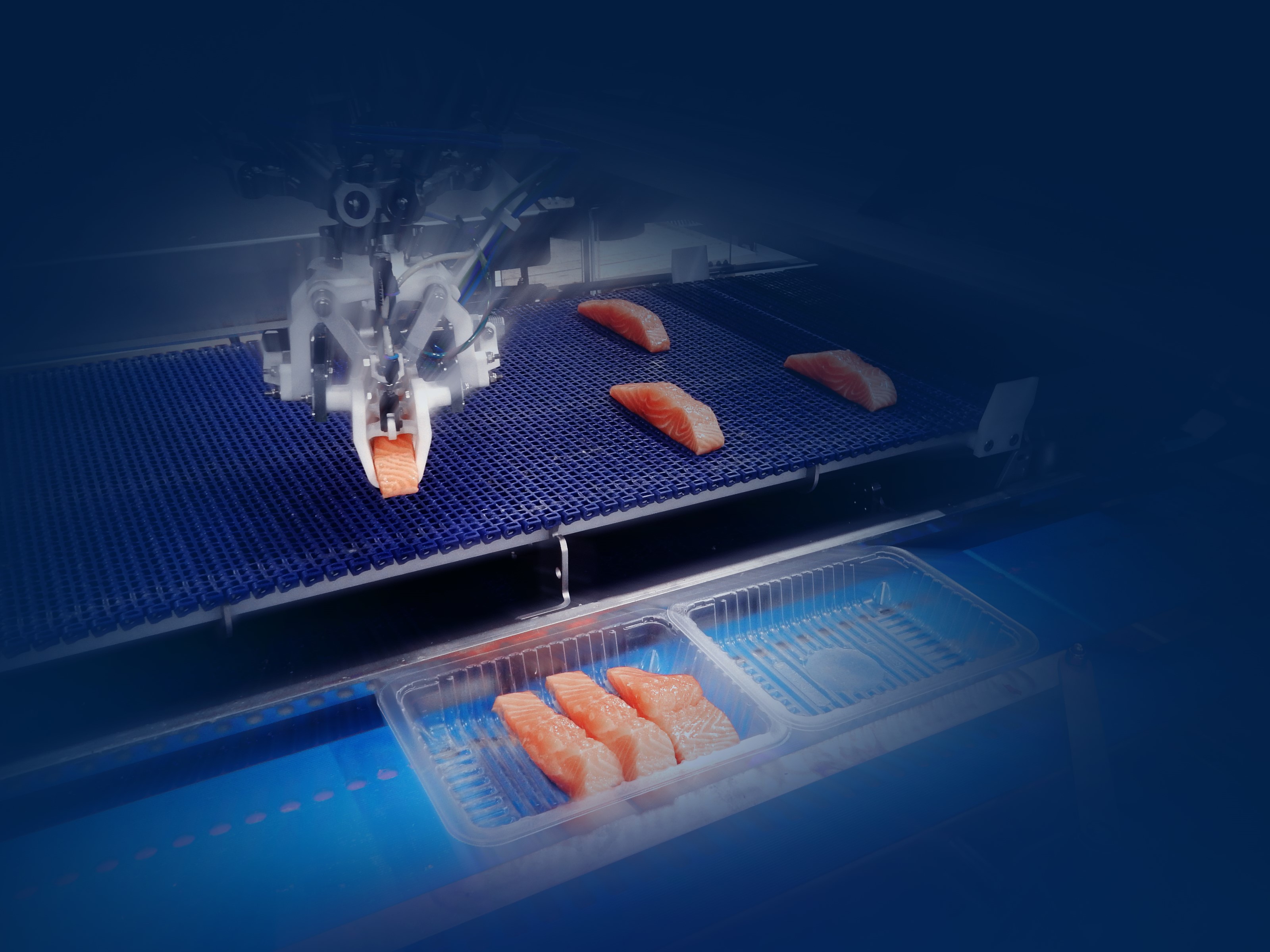 Future-ready fish processing innovations | Marel