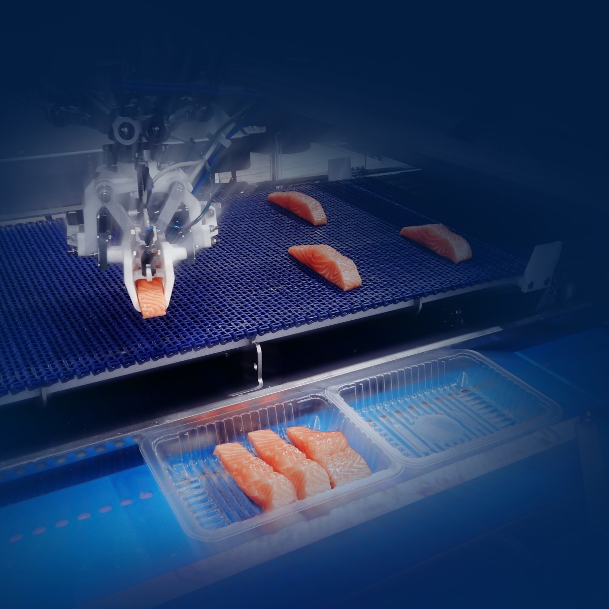 Future-ready fish processing innovations | Marel