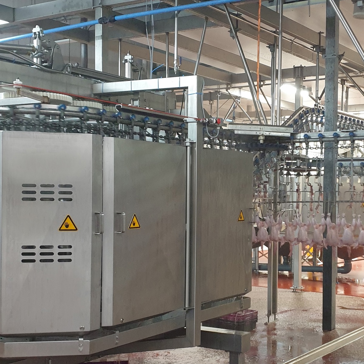 Six points important pour une éviscération performante | Marel