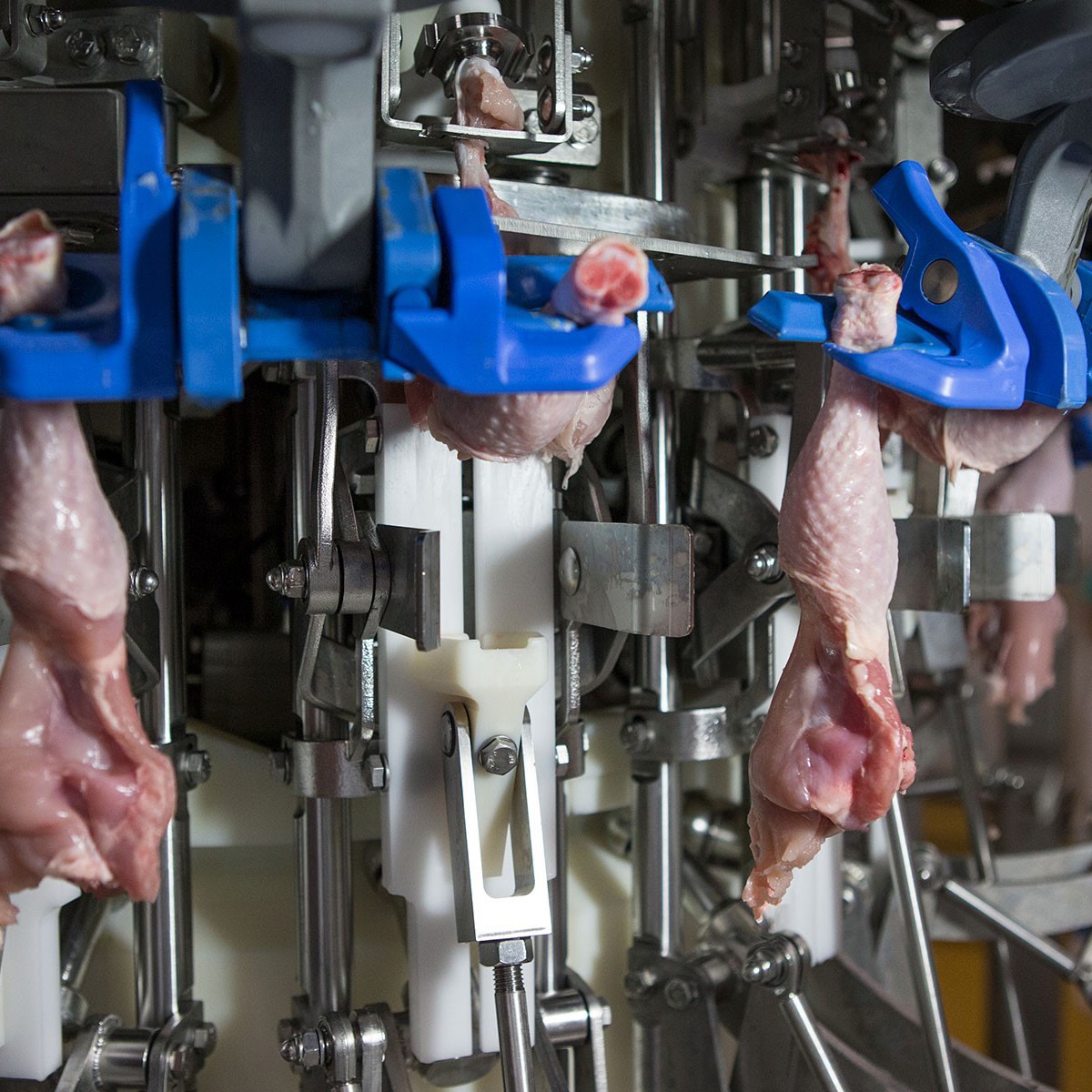 Thigh / drumstick deboning | Marel