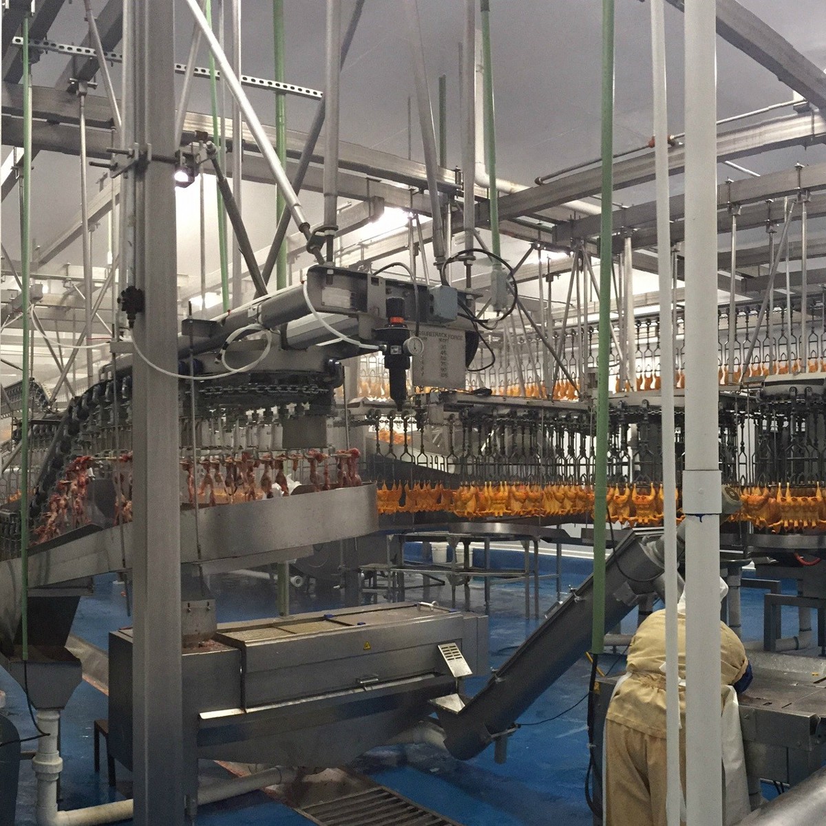 Nutrypollo es “sinónimo de calidad total” | Marel