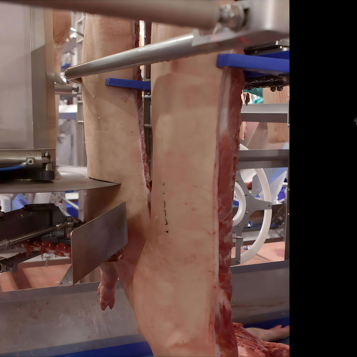 DeboFlex Primal Cut: simplifying primal cutting with vertical precision ...