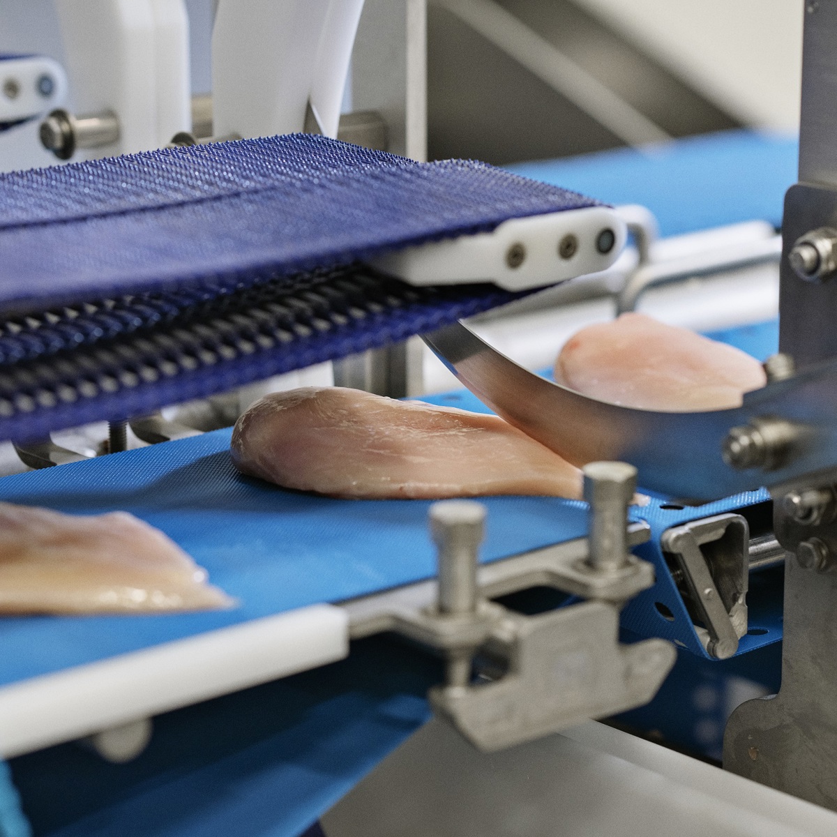 Ein Messer mit einem Sortierer | Marel