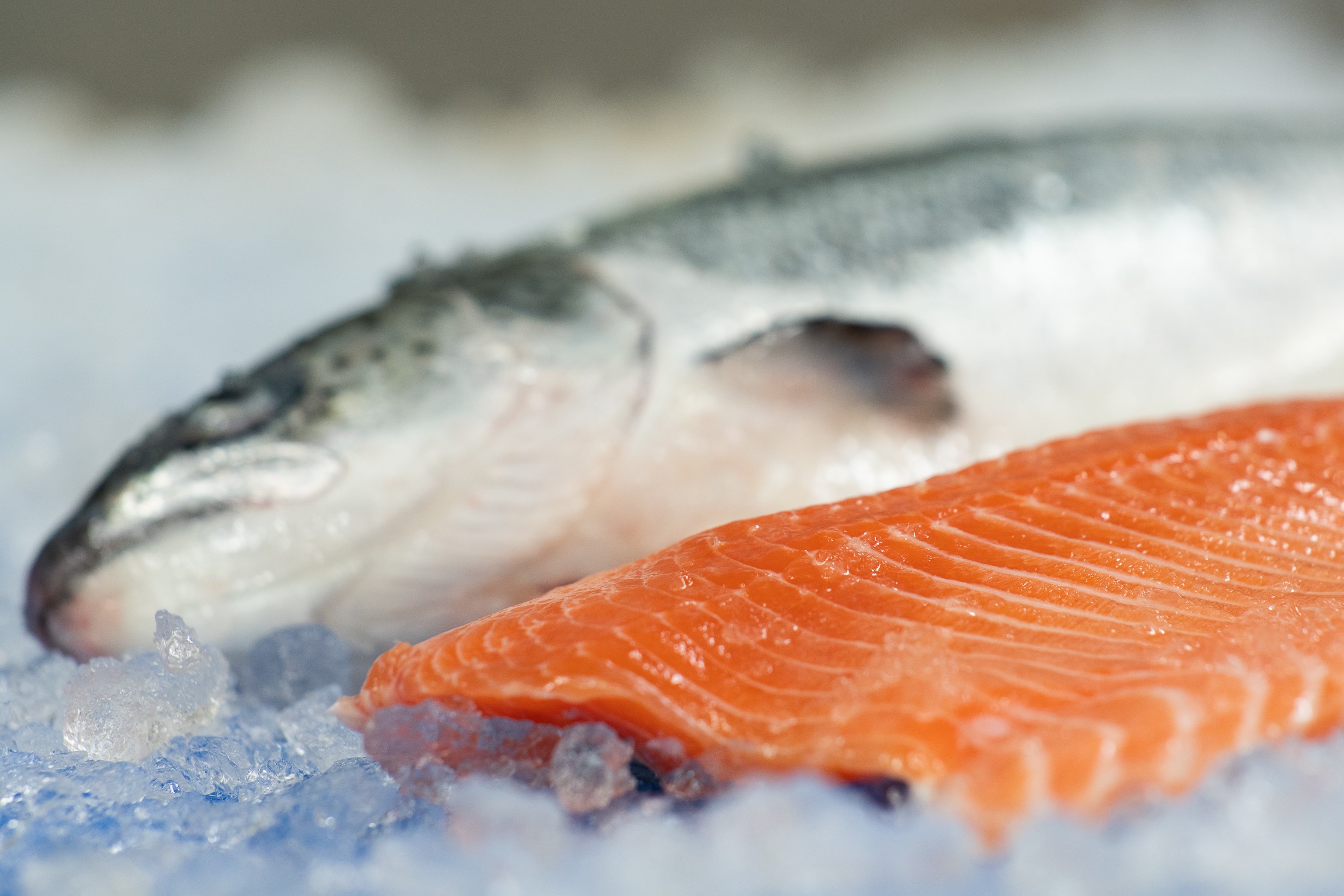 High-tech salmon processing at Oddi hf. with Marel | Marel