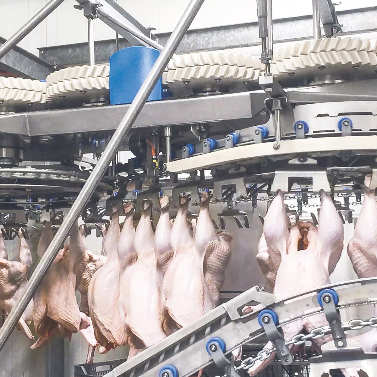 SmartWeigher for turkey | Marel