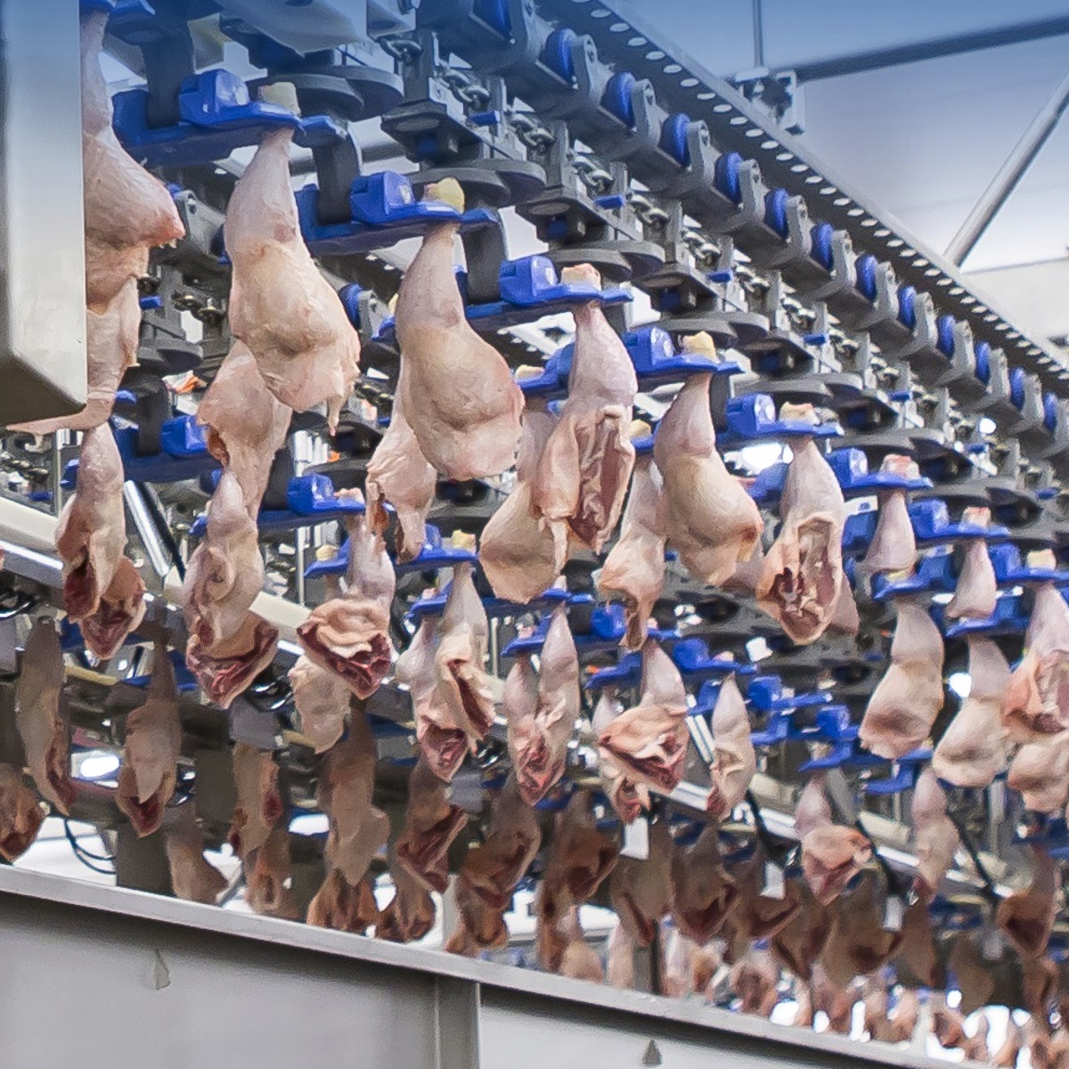 Maximum product utilization in cut-up | Marel