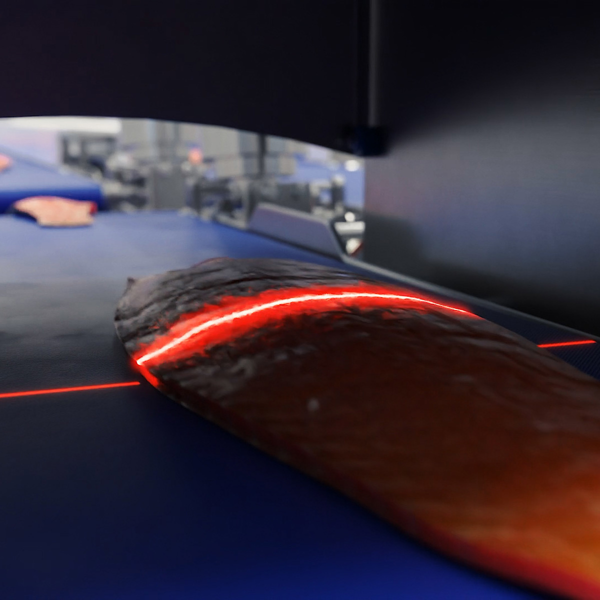 QC Scanner MS 2920 relaunch brings precision and efficiency to salmon ...