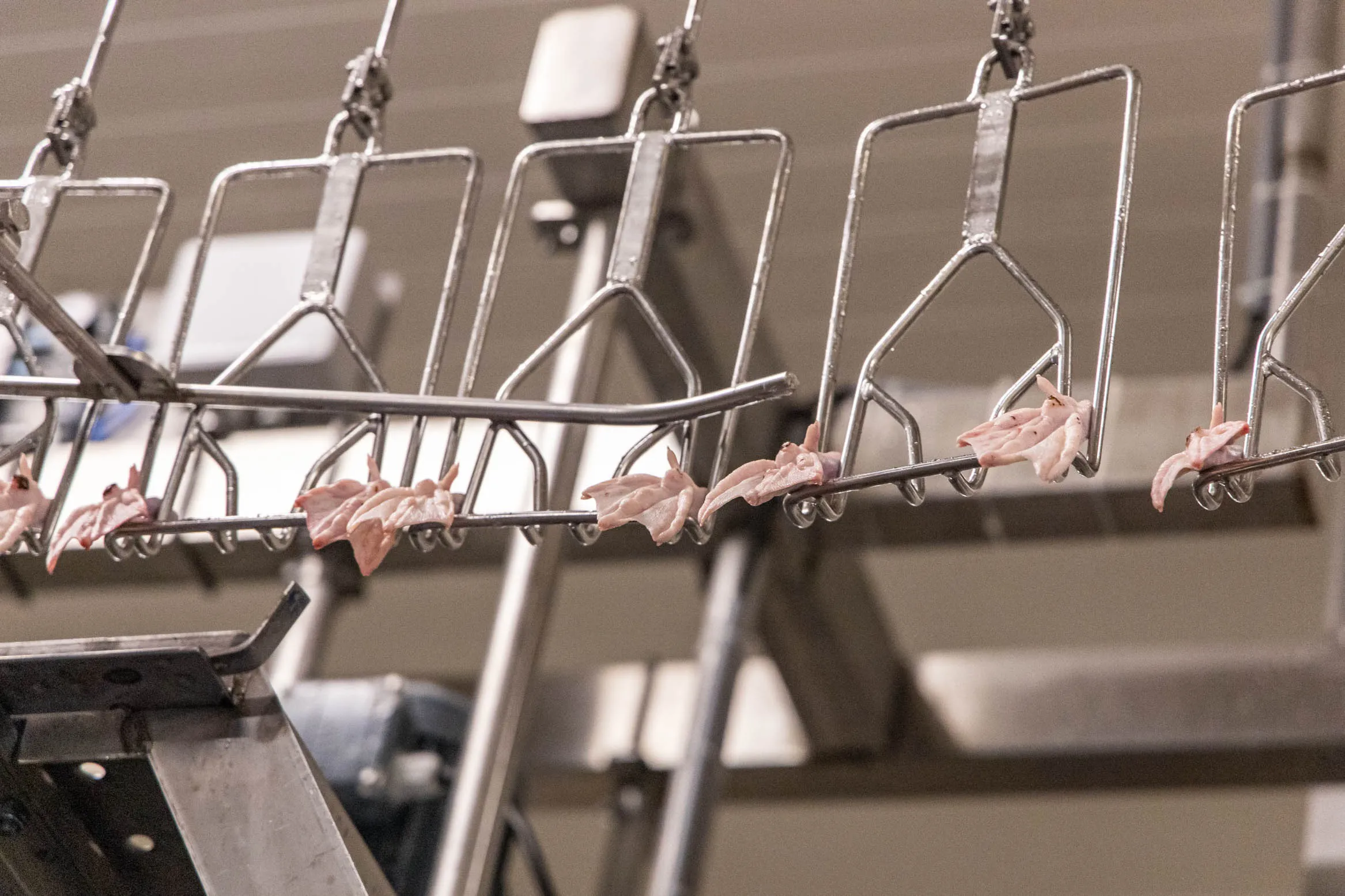 Duck feet processing system | Marel