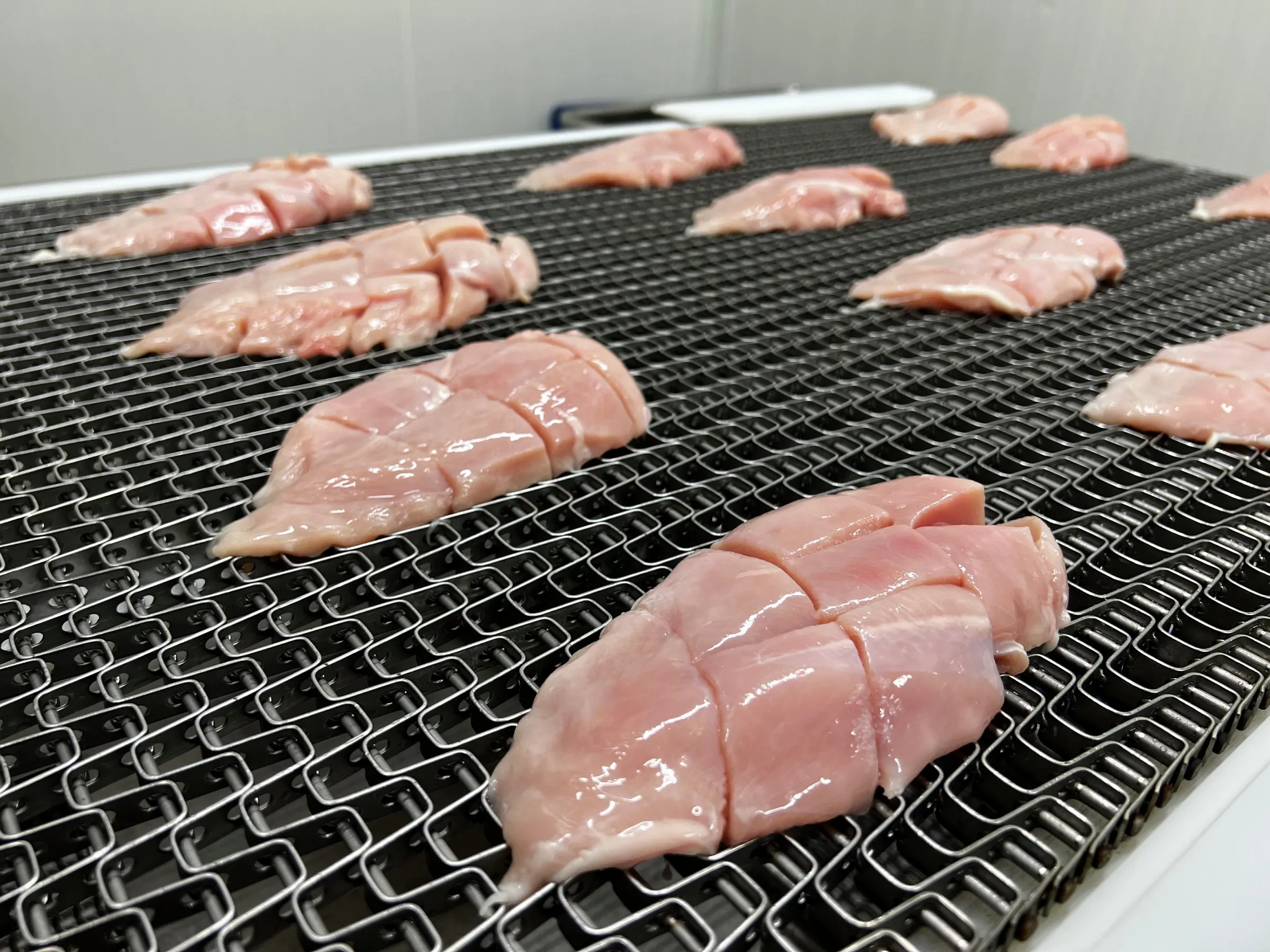 DSI Waterjet Portioning System | Marel