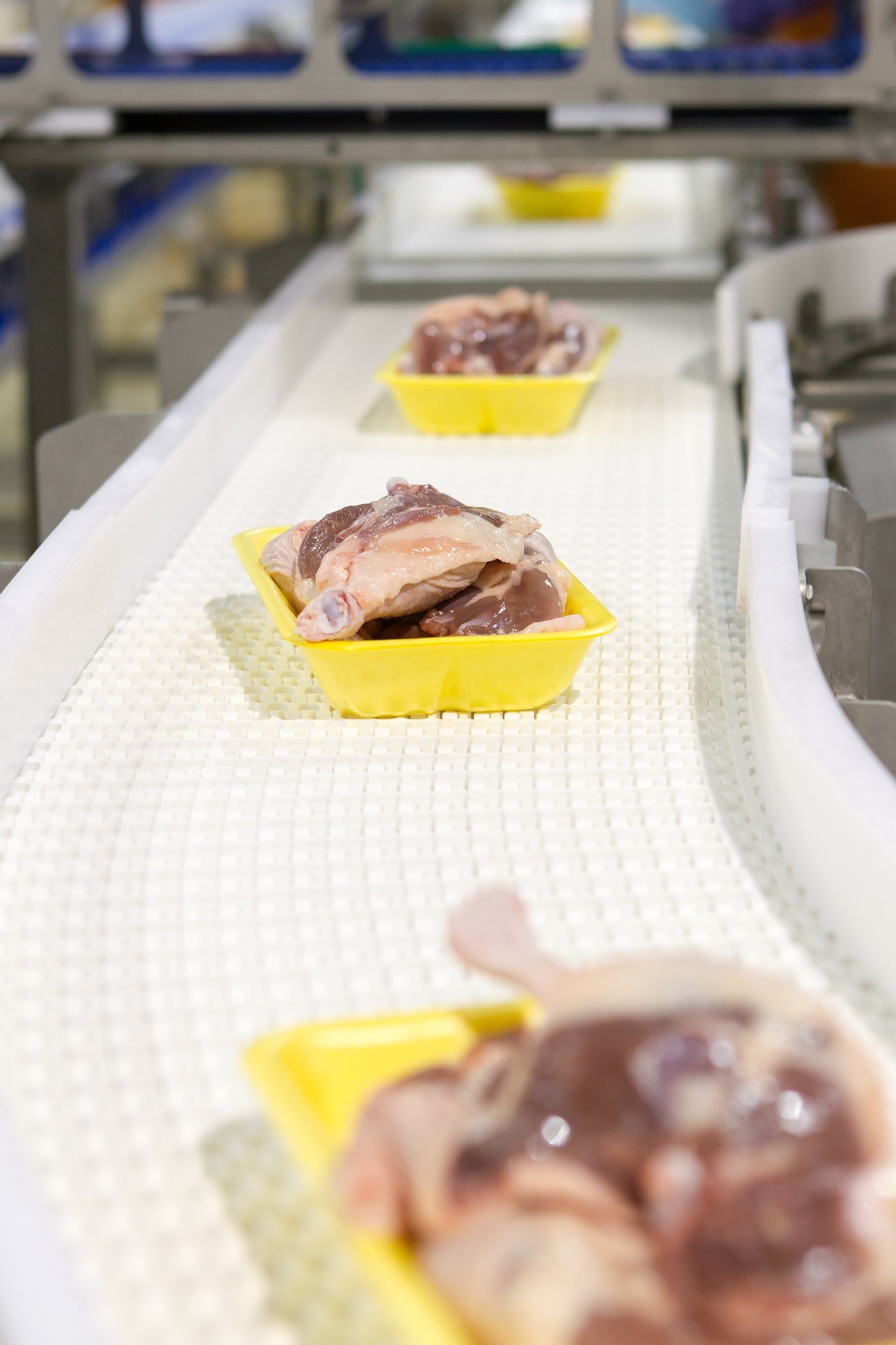 Managing process interaction throughout the duck plant | Marel