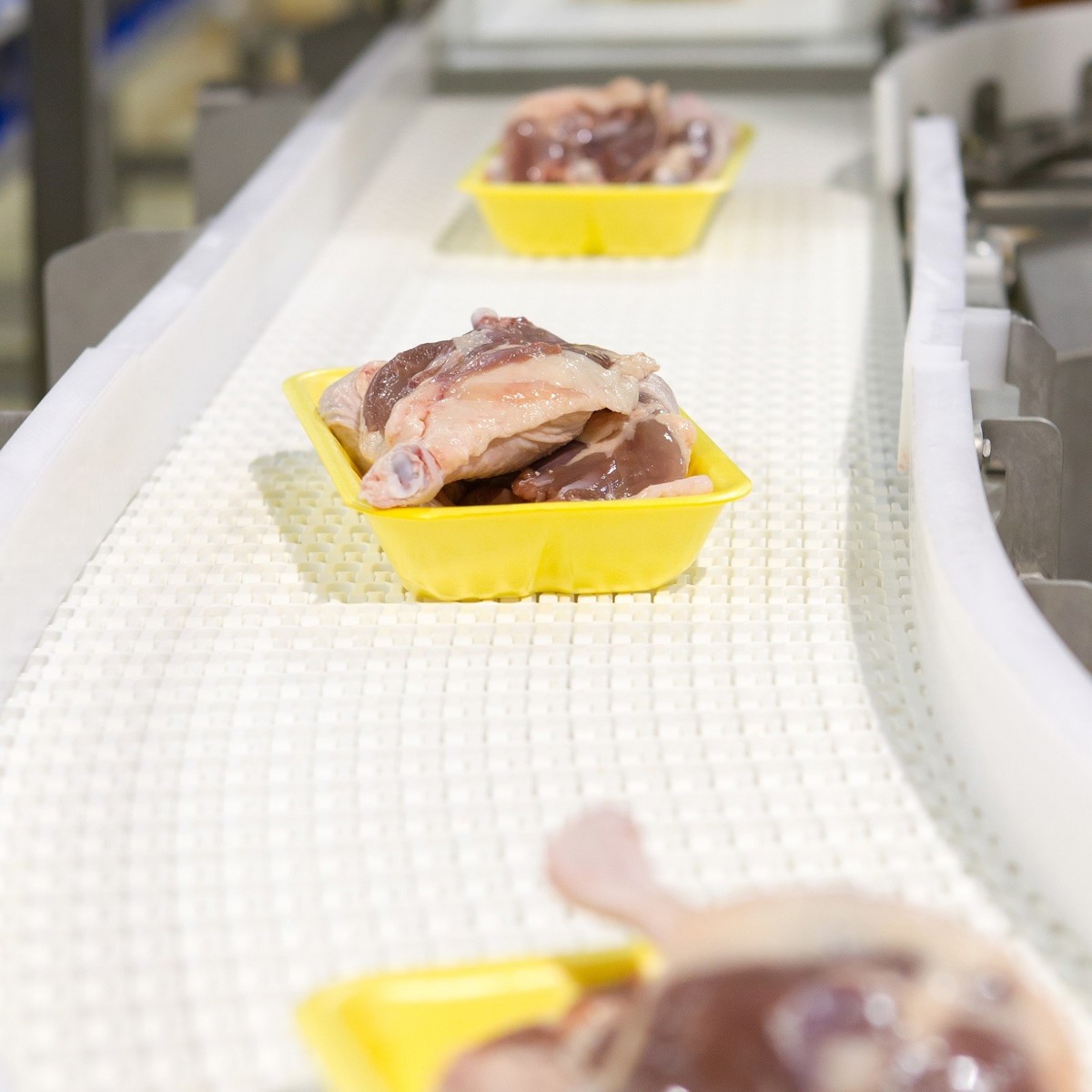 Managing process interaction throughout the duck plant | Marel