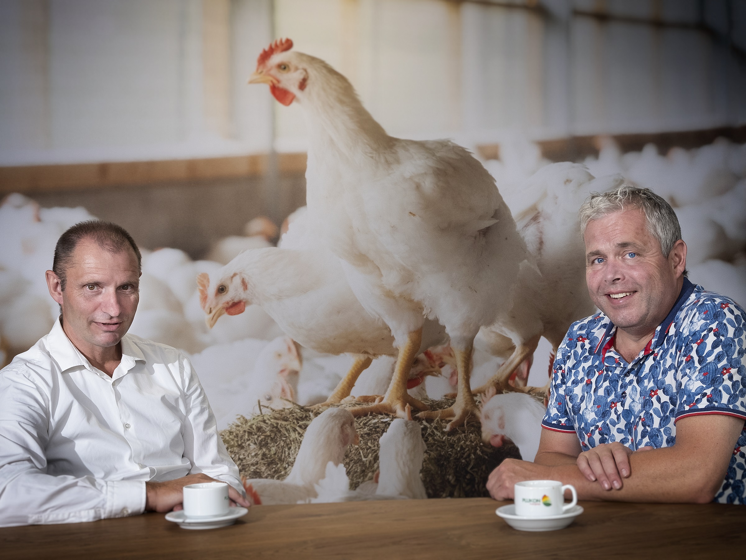 RevoCrumb for poultry | Marel