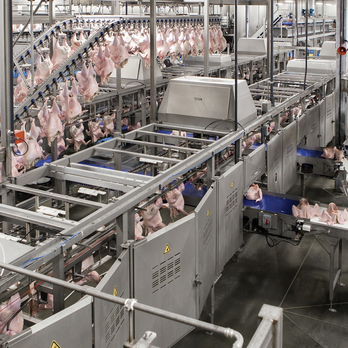 Secondary turkey processing | Marel