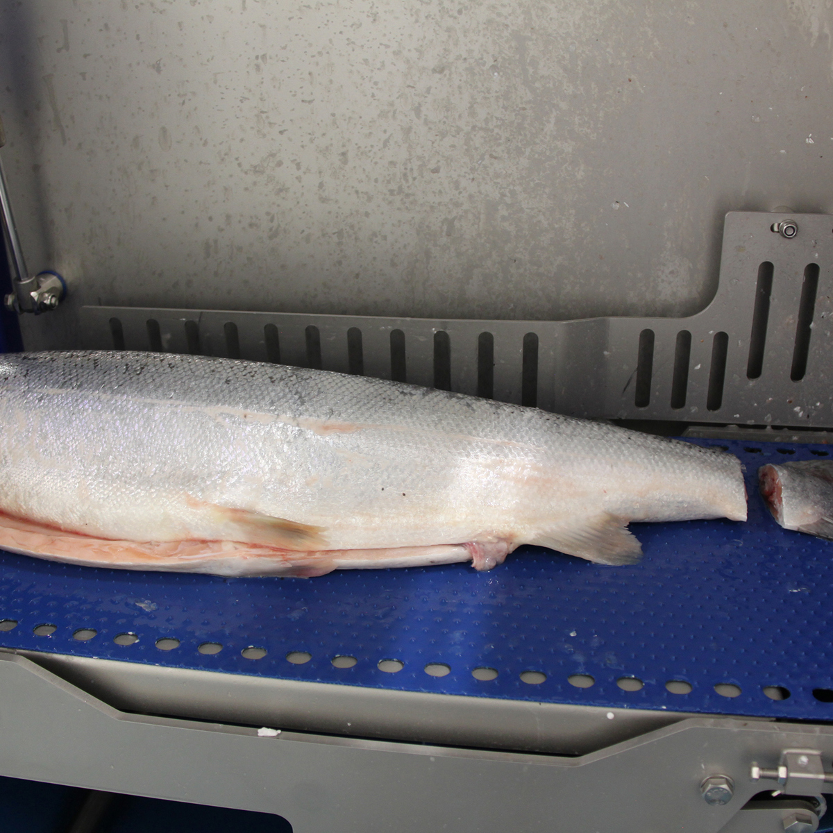 Transforming a tough job into a high-precision cut | Marel