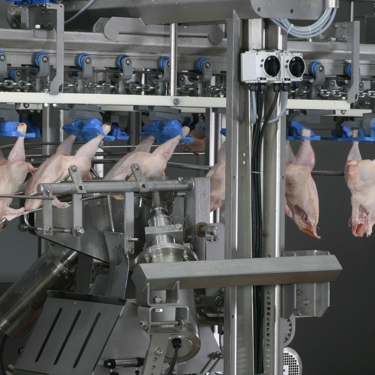 Automatización accesible | Marel