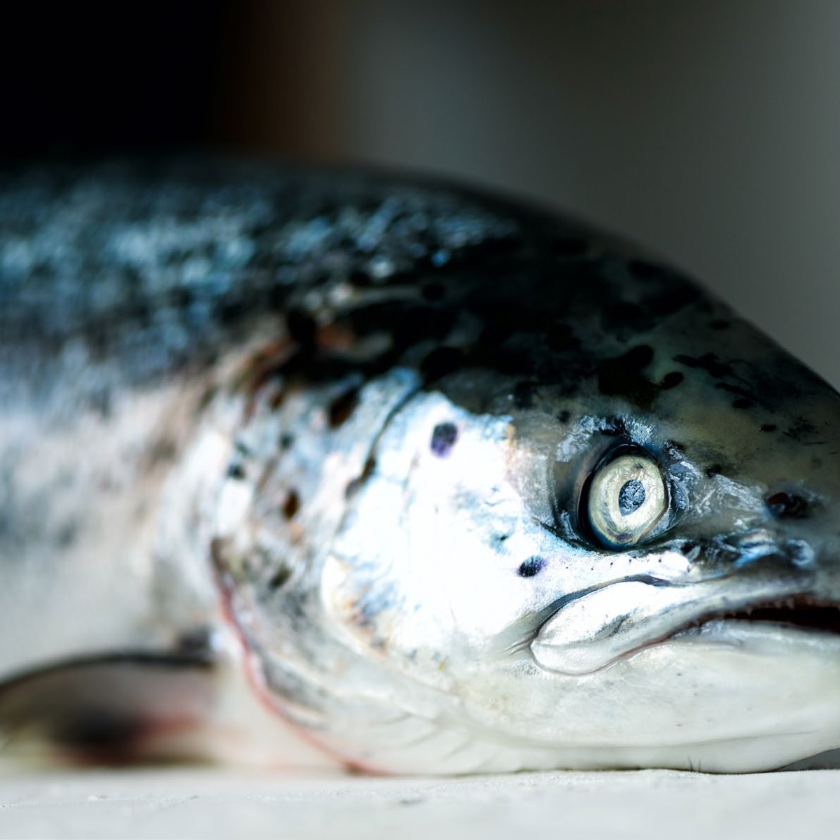 How software is transforming smoked salmon production | Marel
