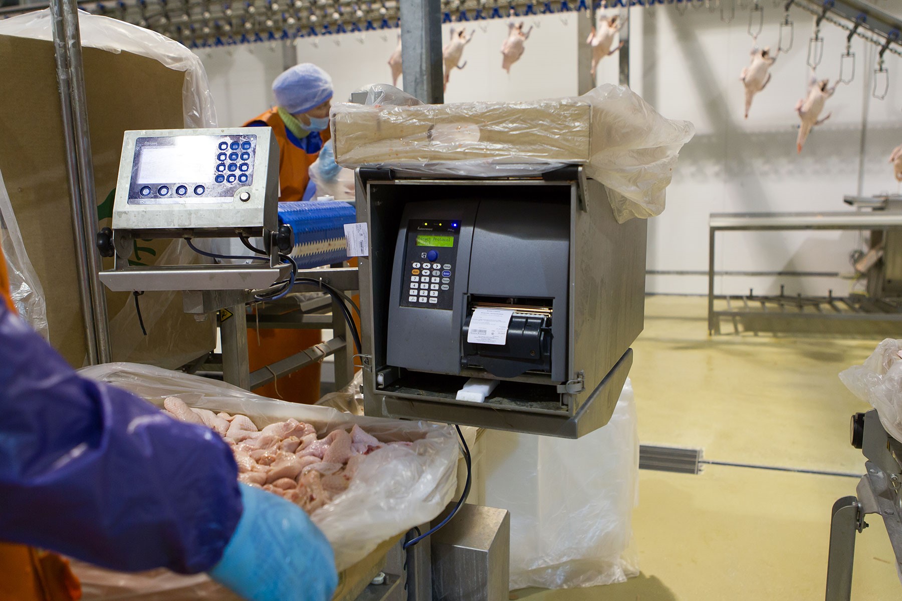 Grading and batching of duck products | Marel