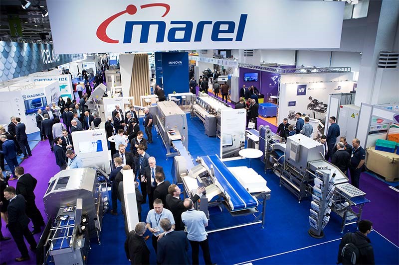 Seeing is believing – highly automated fish processing in Brussels | Marel