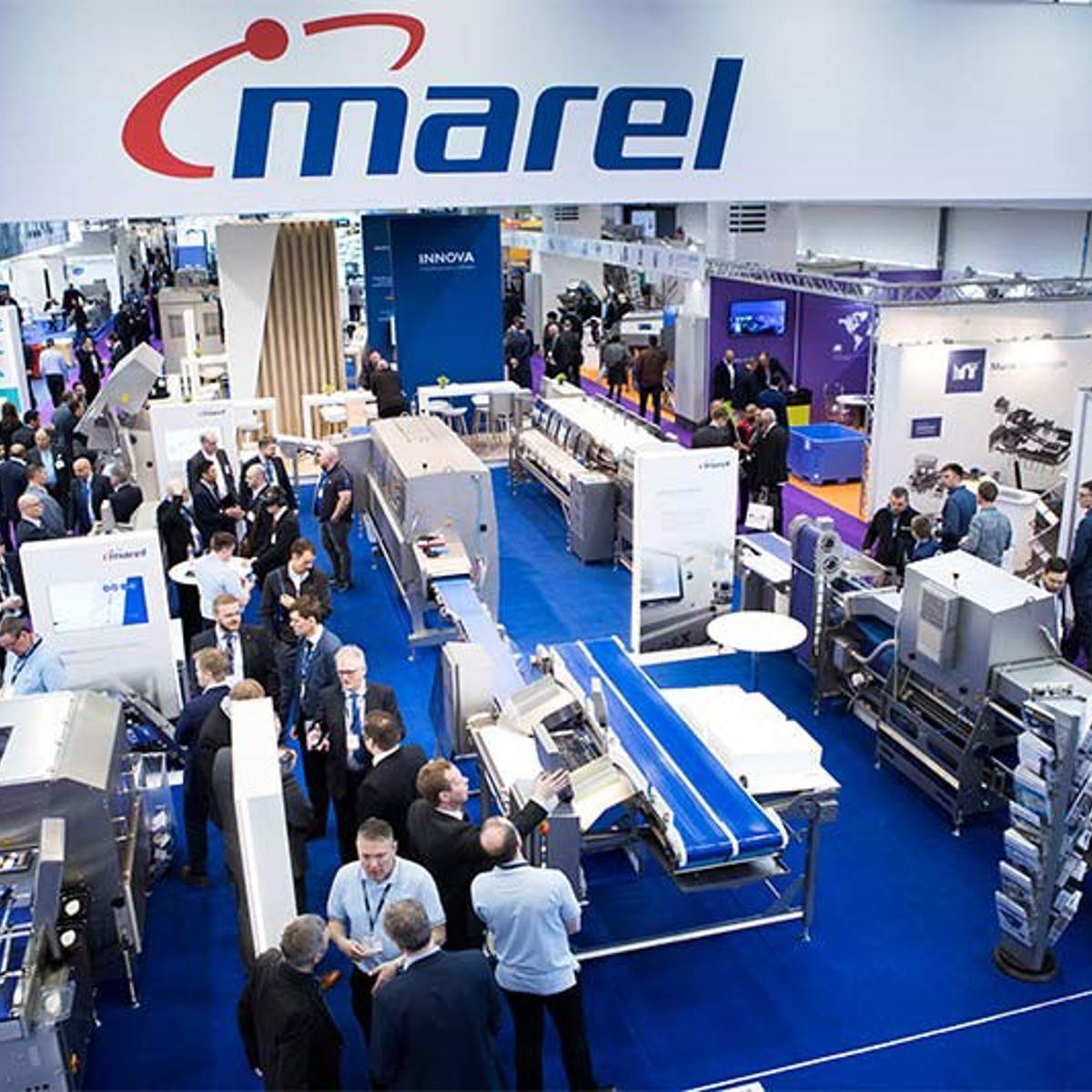 Seeing is believing – highly automated fish processing in Brussels | Marel