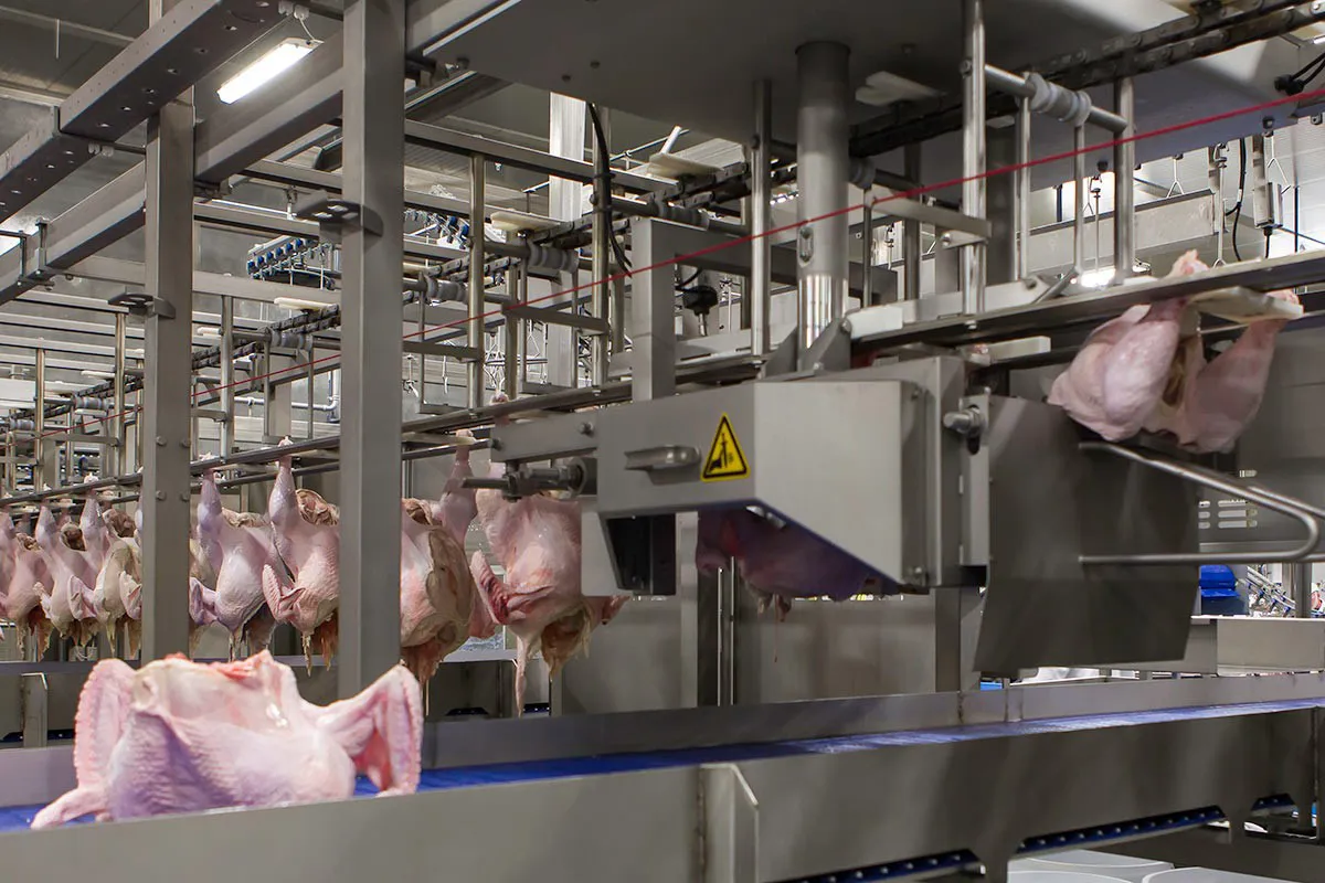 Sistema de troceado modular ACM-T para pavos | Marel