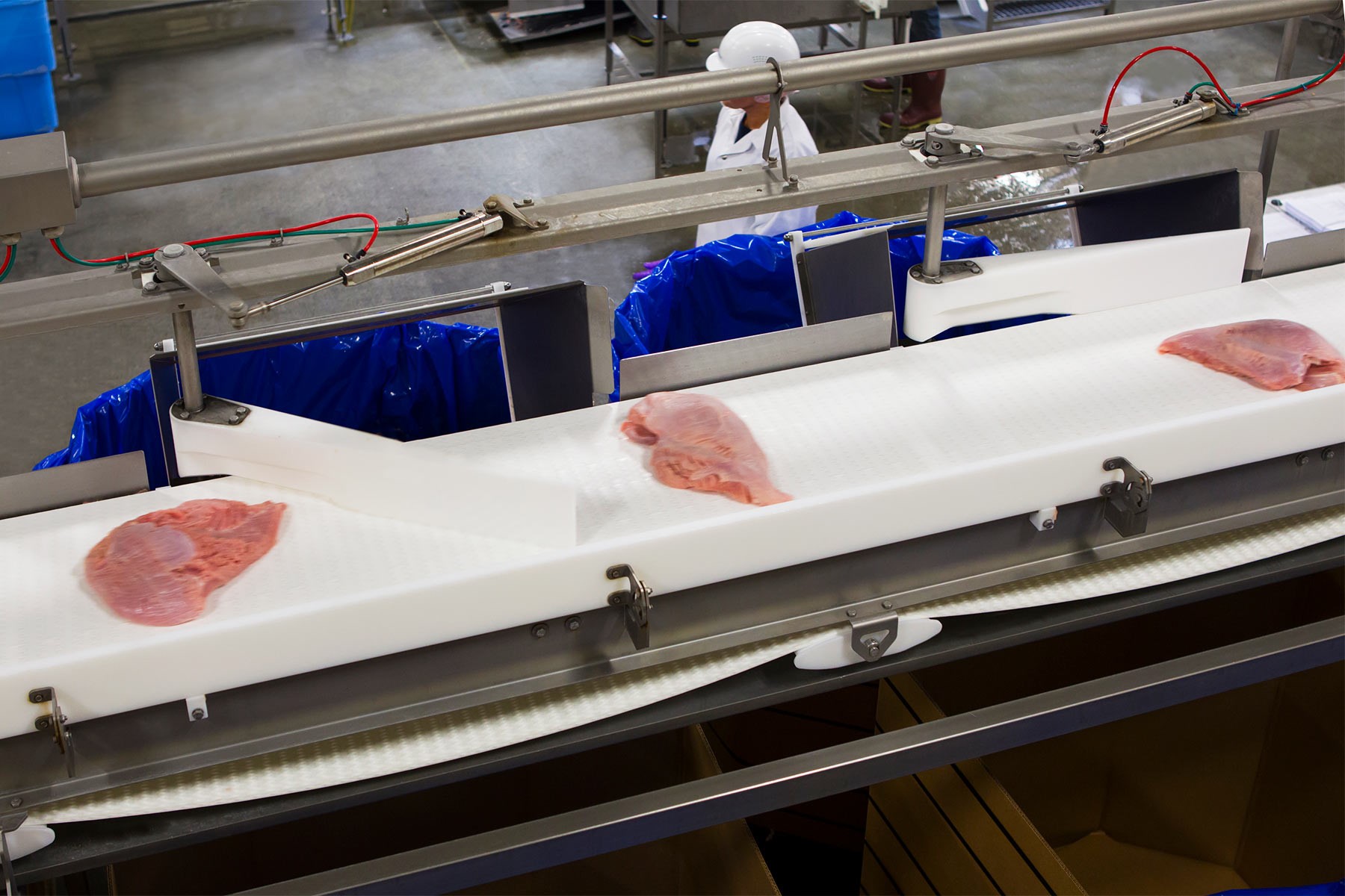 Grading and batching of turkey products | Marel