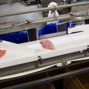 Poultry processing solutions for all processes and capacities | Marel