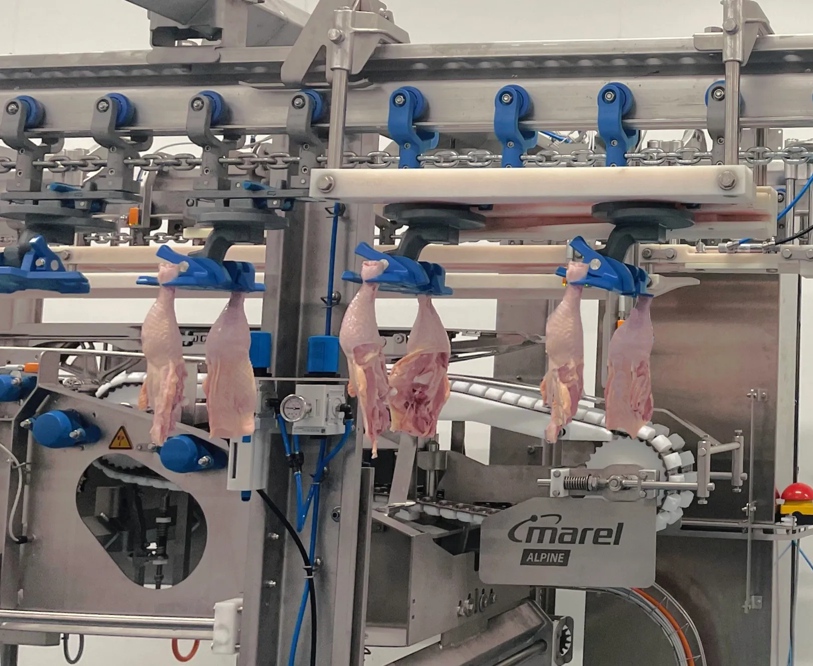 ALPINE - Reach the top of anatomic leg processing | Marel