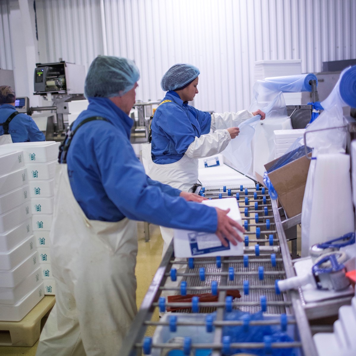 Packing and EOL | Marel - Fish production software | Marel